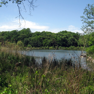 Kissena Park and Corridor | NYC Bird Alliance
