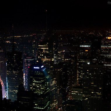 Artificial Light at Night: Protecting Birds During Migration | NYC Bird ...